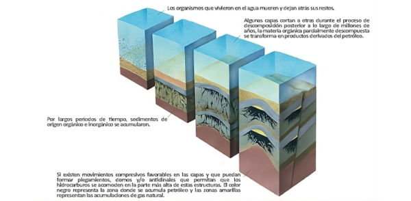 Diagénesis, Catagénesis y Metagénesis de la Materia Orgánica - Portal ...